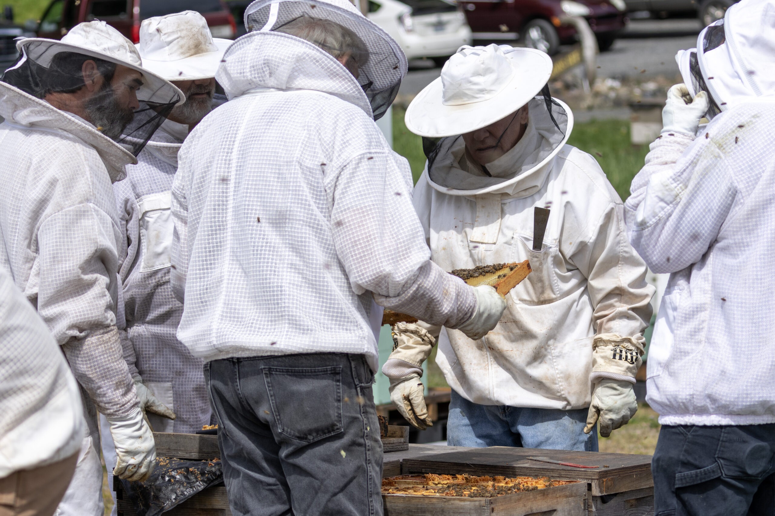 About Us – Woods Bee Co.