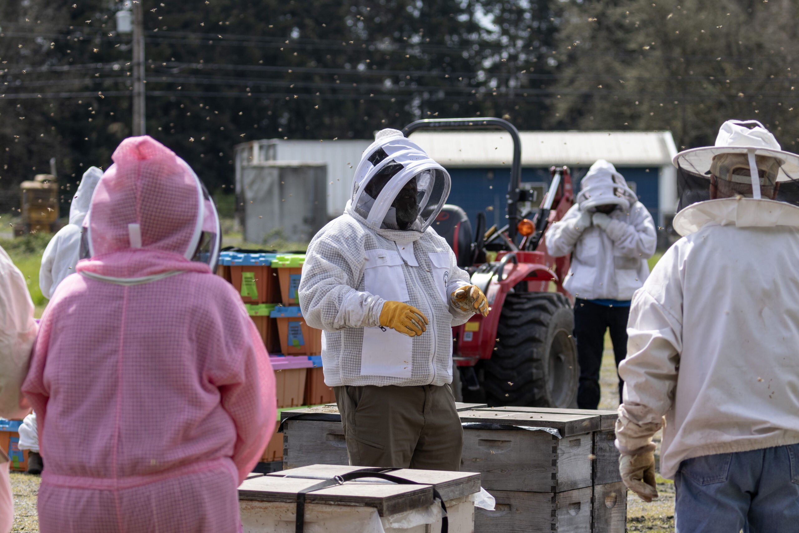 About Us – Woods Bee Co.