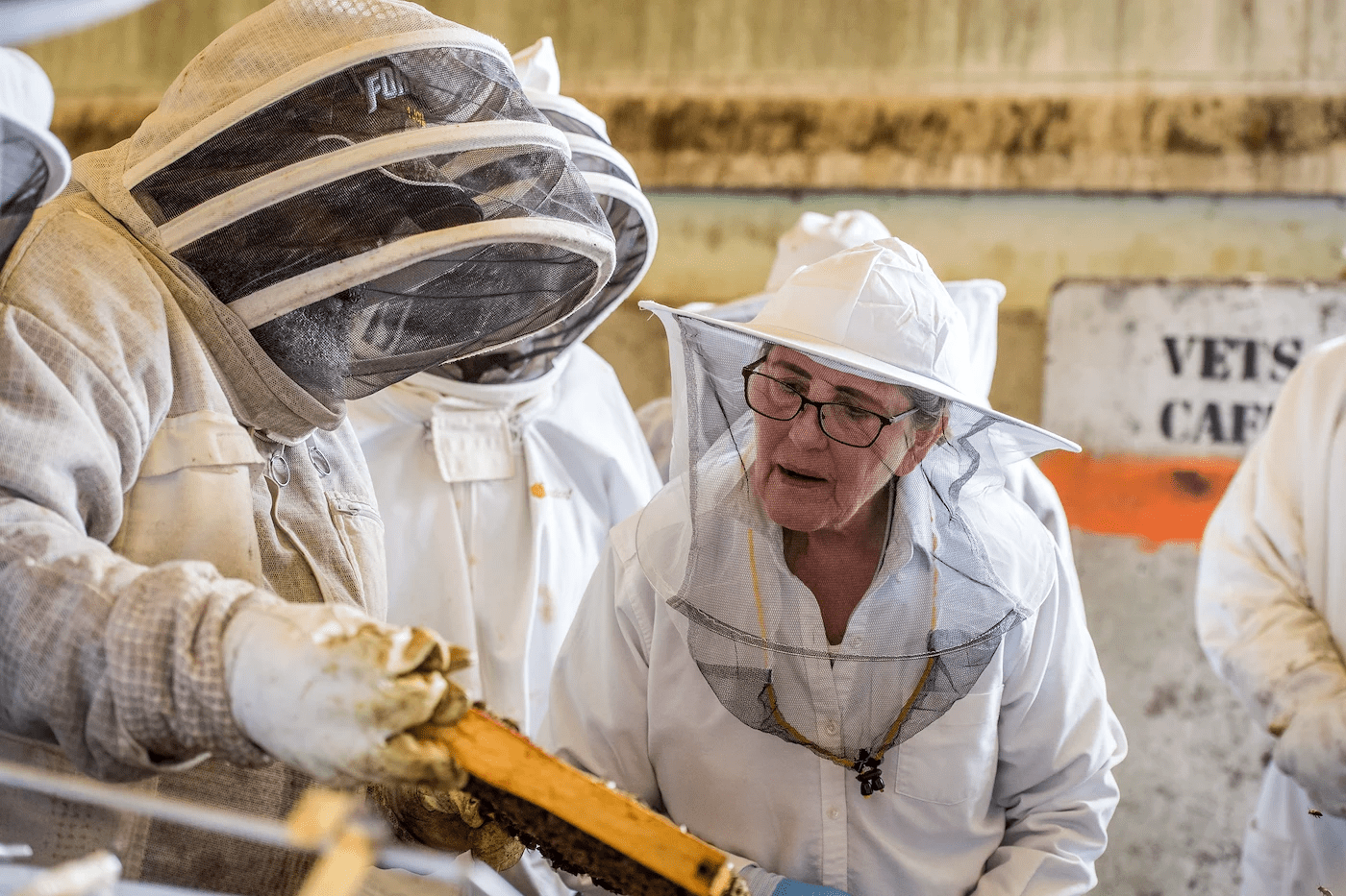 Onsite Consultant - Woods Bee Co.